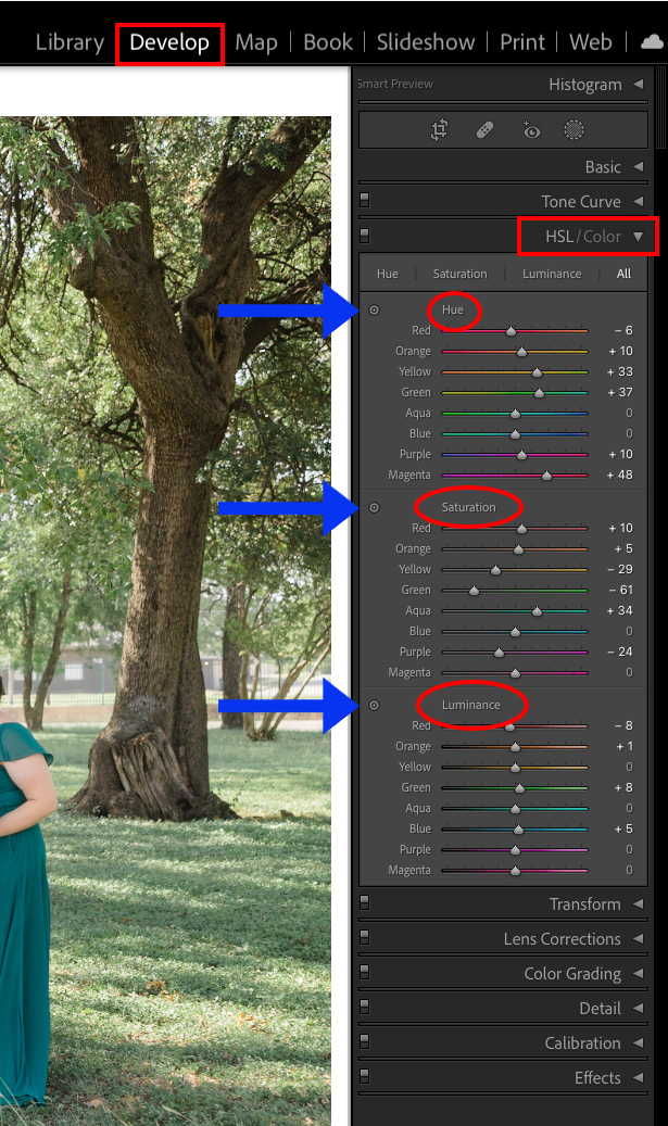 How to Use the HSL Handles in Lightroom - abc-photoediting.com